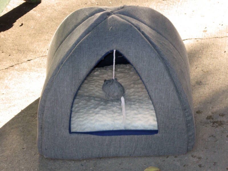 Photoshop Contests, Win Real Prizes, Photoshop Tutorials, Photoshop Forums